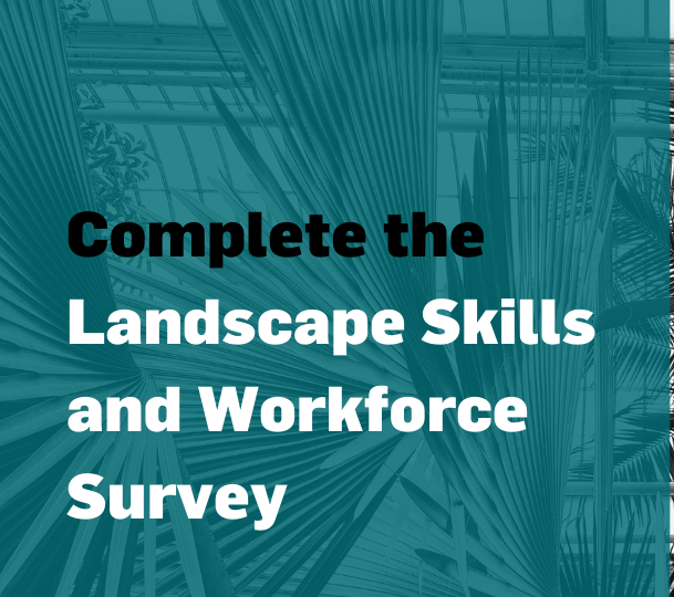 Bringing green skills to the forefront of development